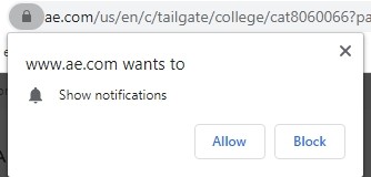 Google Chrome Will Now Block Abusive Browser Notifications | Blog