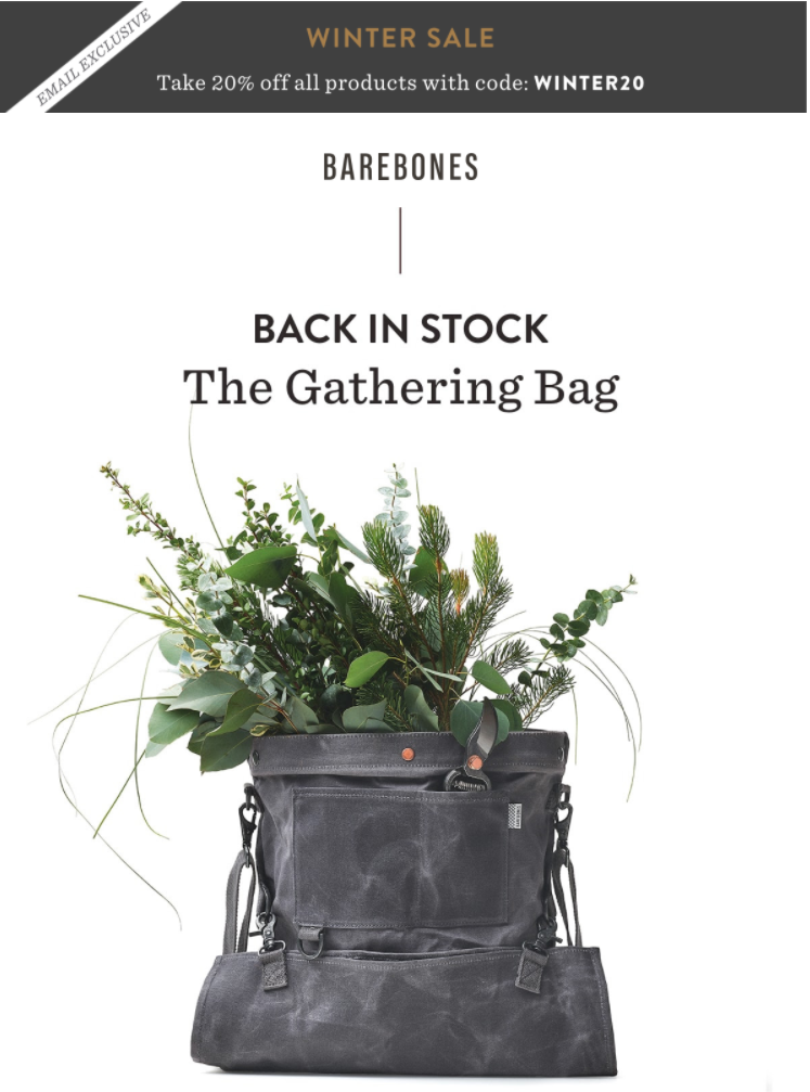 How to Create a Good Email Header [+ Best Header Designs to Learn From ...